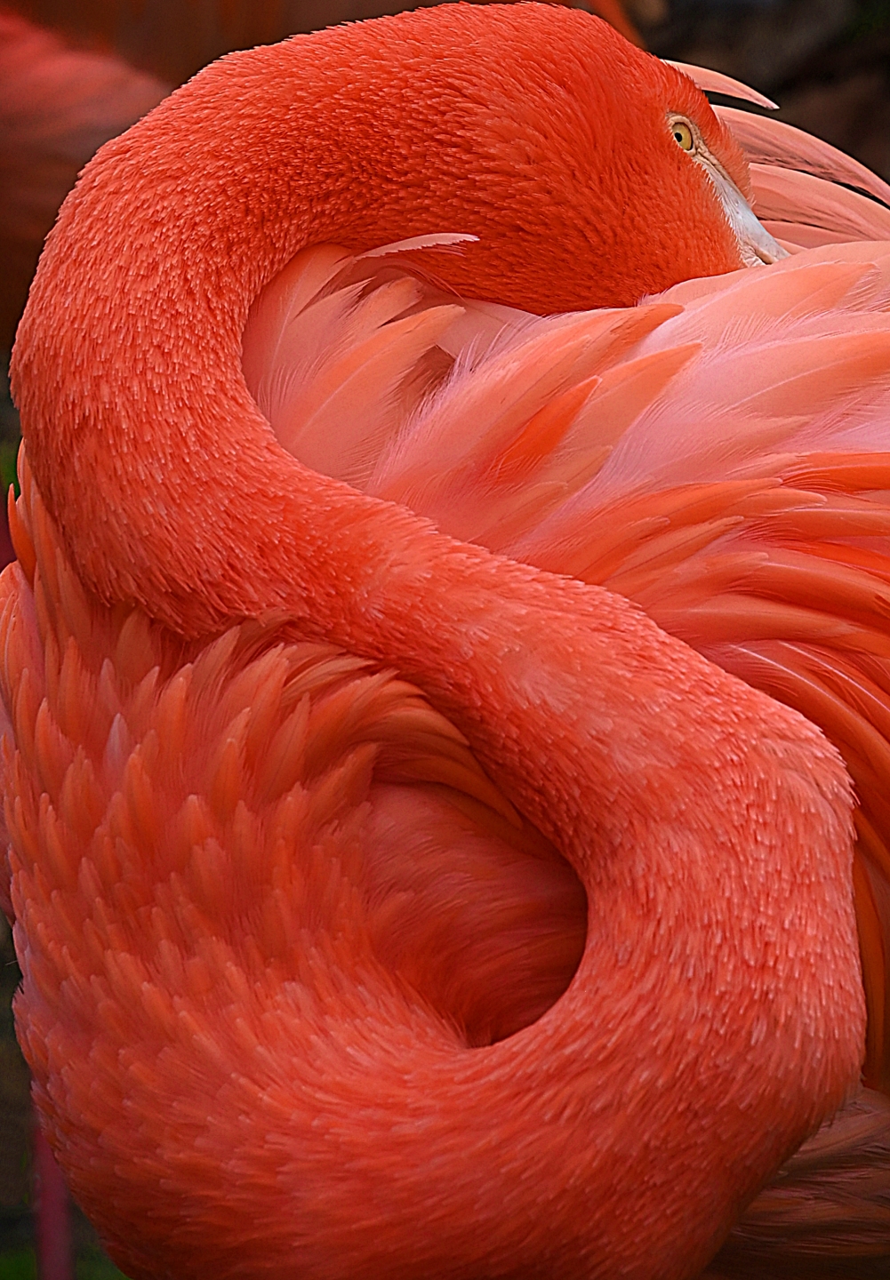 Coastal Virginia Photography Club